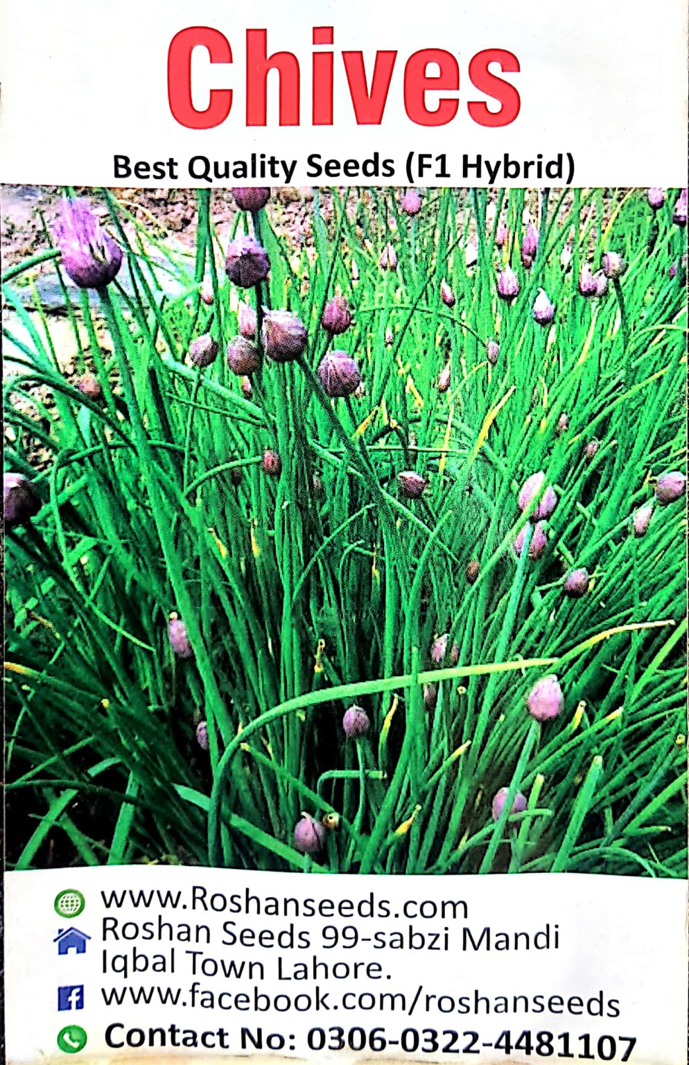 Chives Seeds - Boota.pk