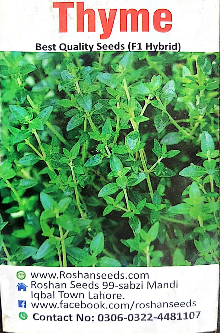 Thyme Seeds - Boota.pk